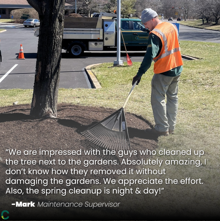 5 Mulching Tips for Commercial Properties | C. Caramanico & Sons, Inc ...