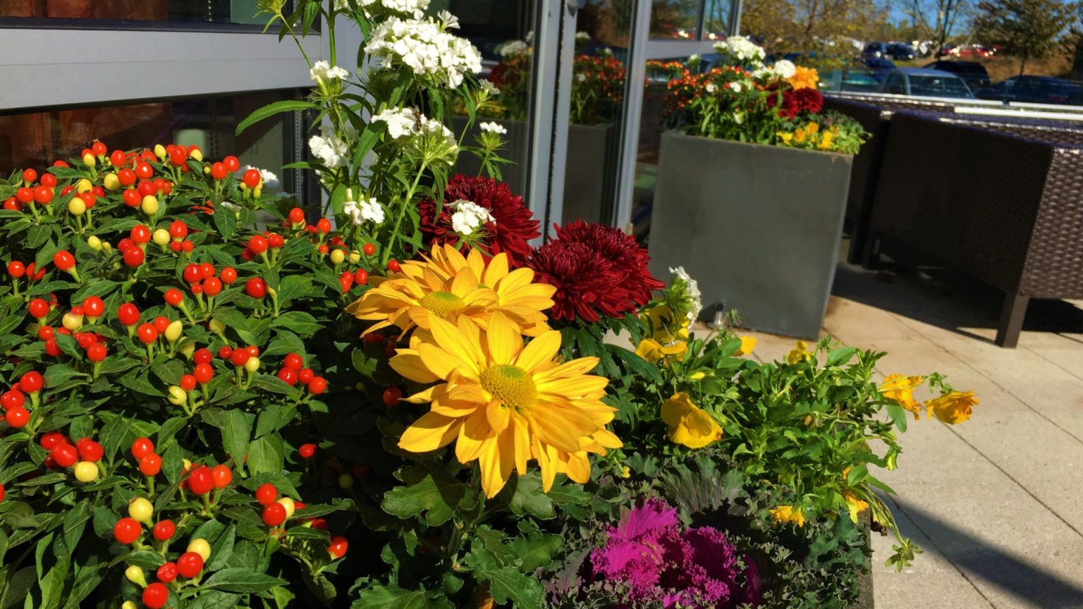 Retail Centers Landscaping Trends 2025